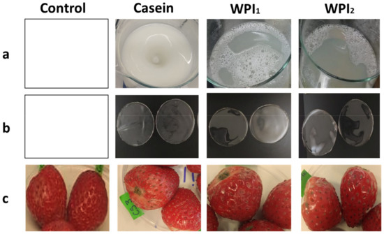 Milk Protein-Based Edible Films: Influence on Mechanical, Hydrodynamic ...