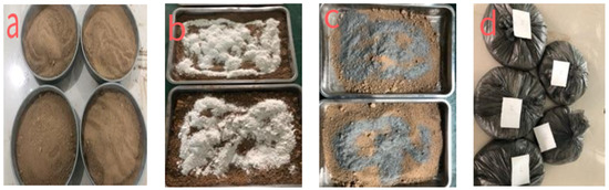 Experimental Study on Engineering Characteristics of Cement-Lime ...