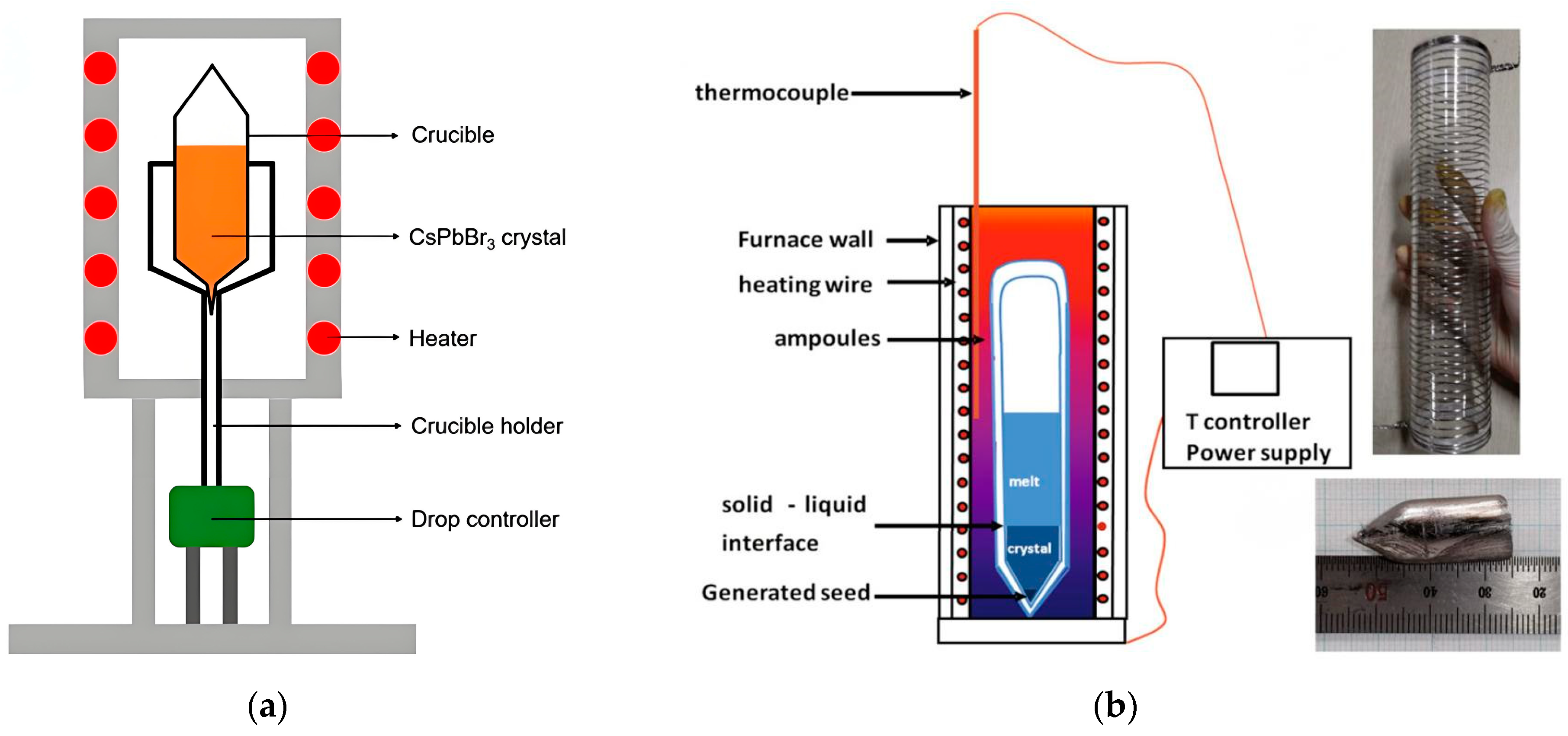 SnSe: A Versatile Material for Thermoelectric and Optoelectronic ...