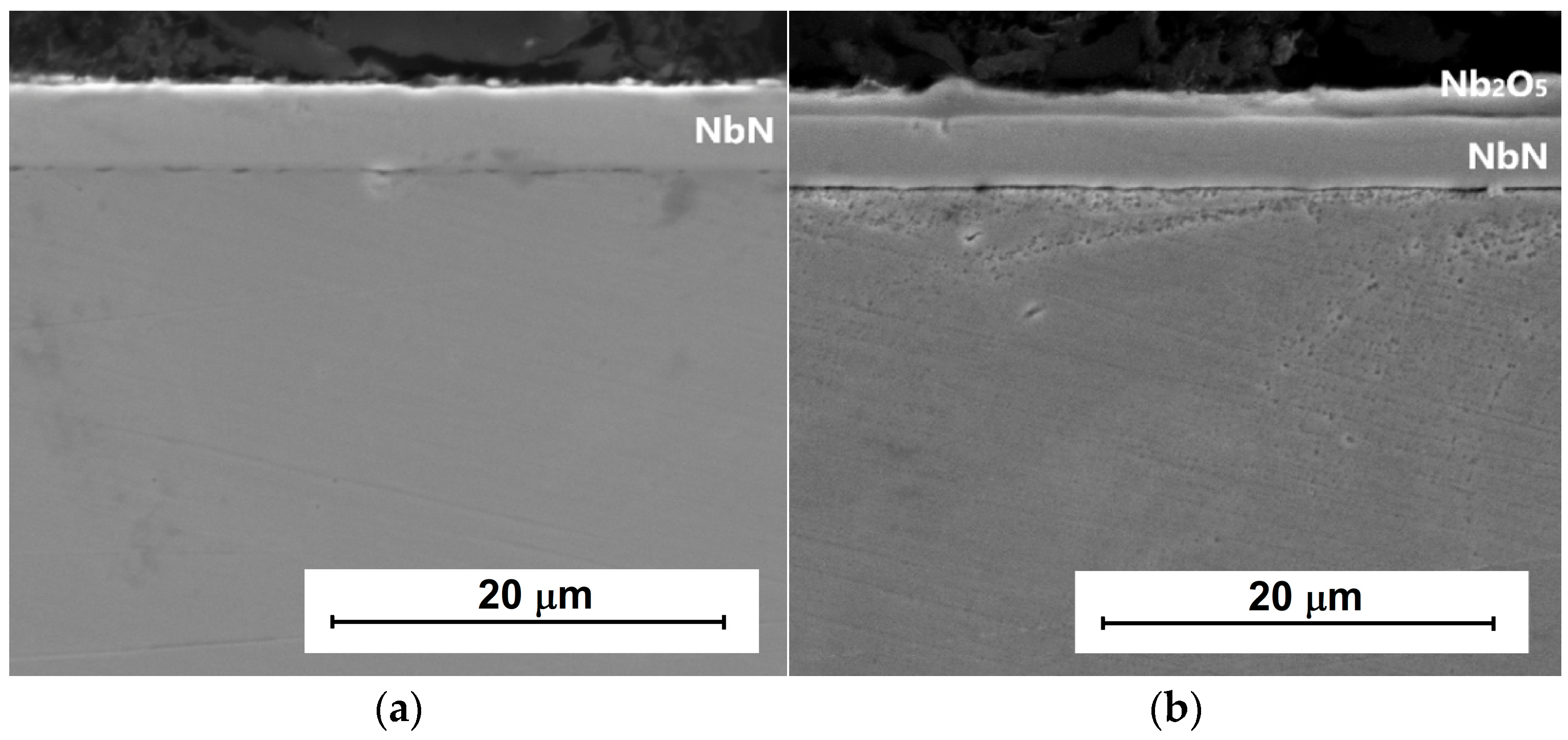 Assessment of the Thermal Oxidation Effects on the Mechanical ...