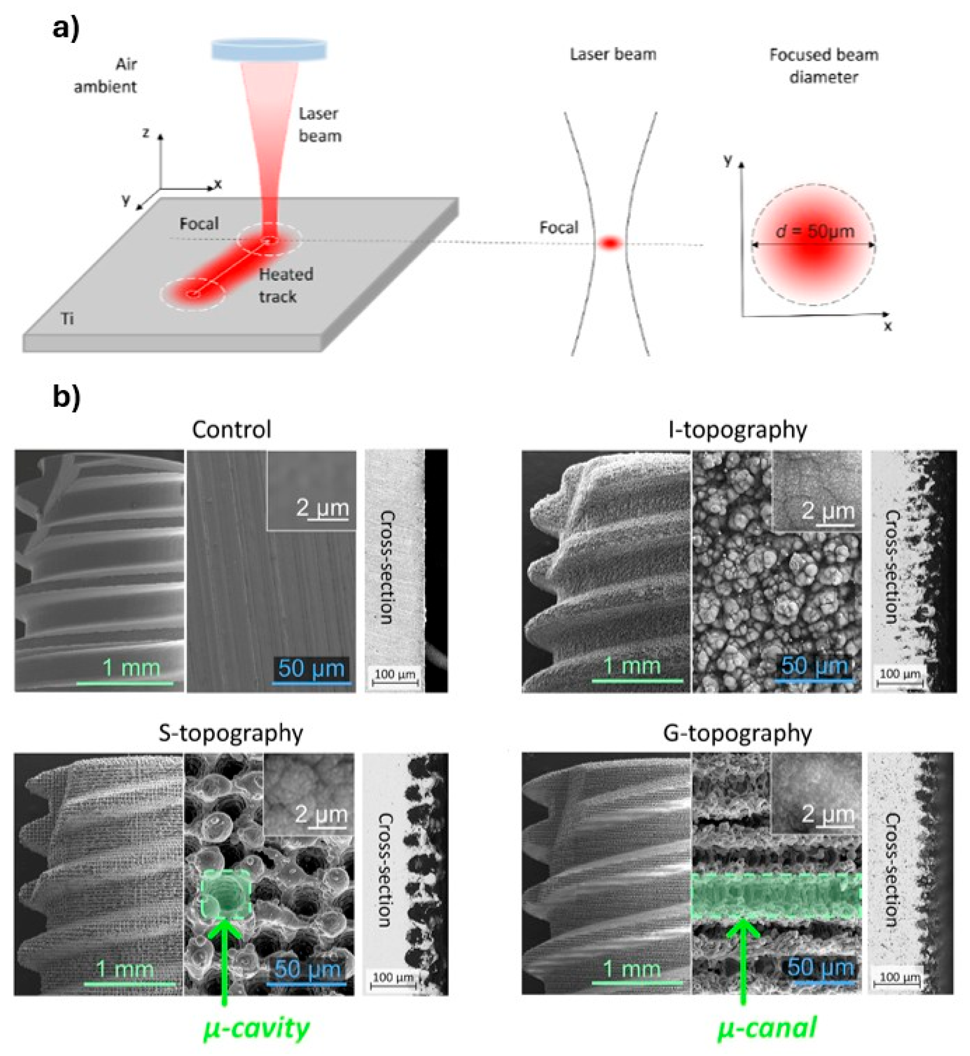 Surface Modification and Coating for Titanium Dental Implants: A Review ...