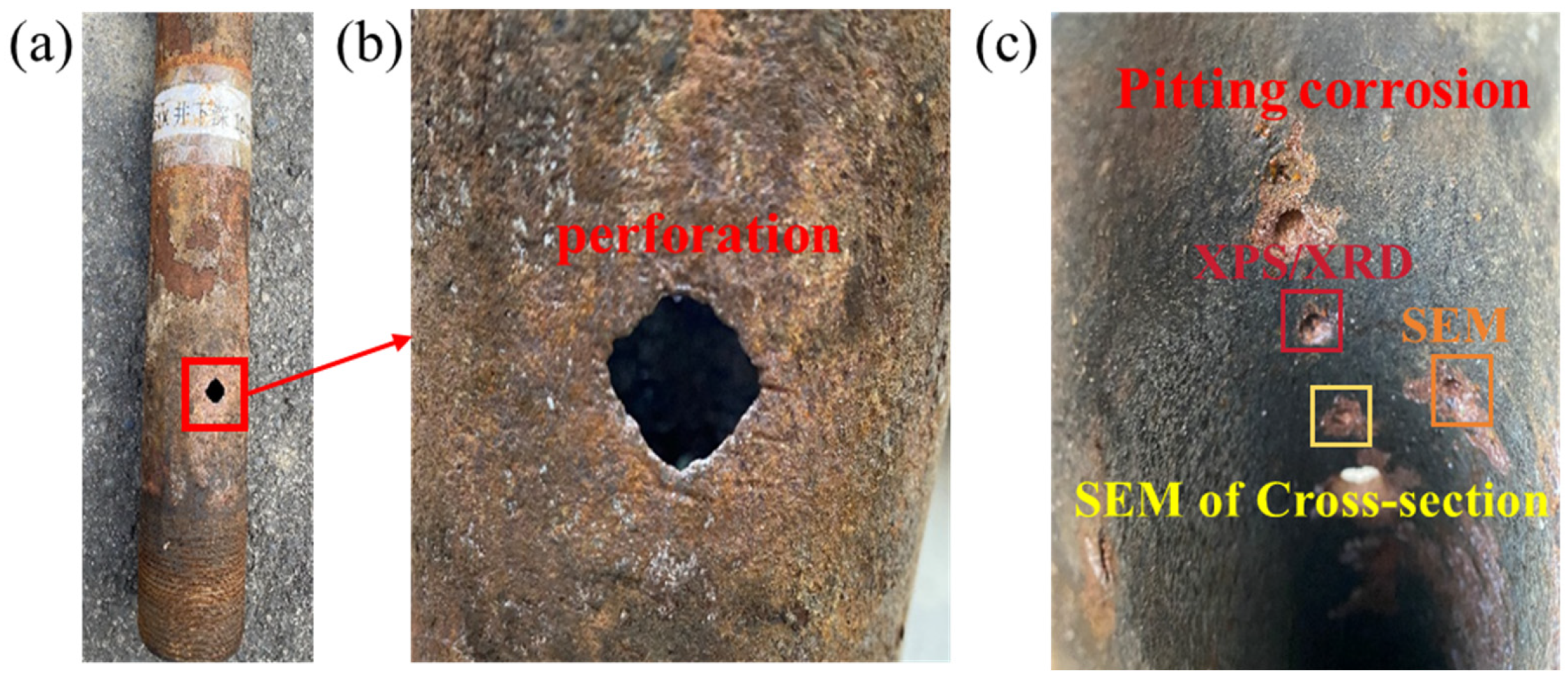 Failure Analysis of Corrosion Perforation in P110 Tubing from a ...