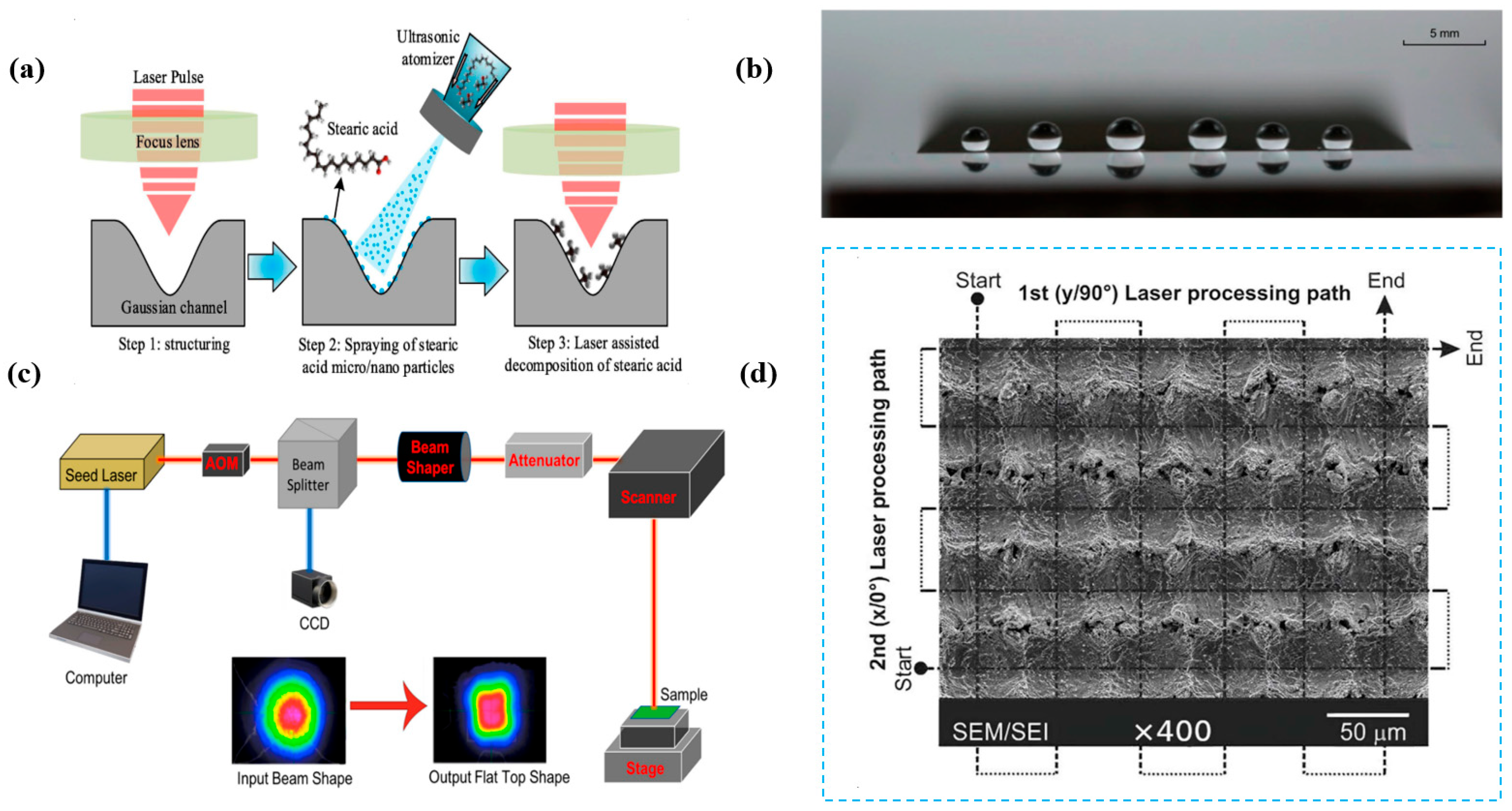 Laser Micro/Nanofabrication of Superhydrophobic Surfaces: Fundamentals ...