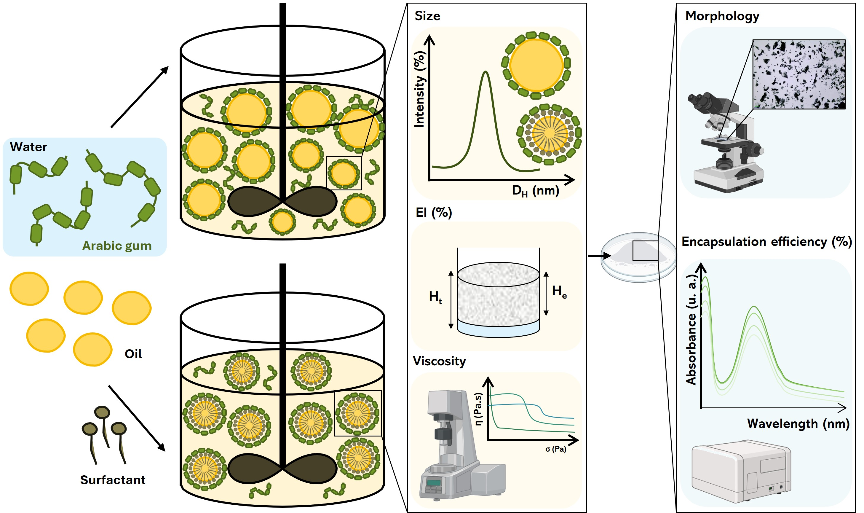Comparative Microencapsulation of Six Vegetable Oils in Gum Arabic ...