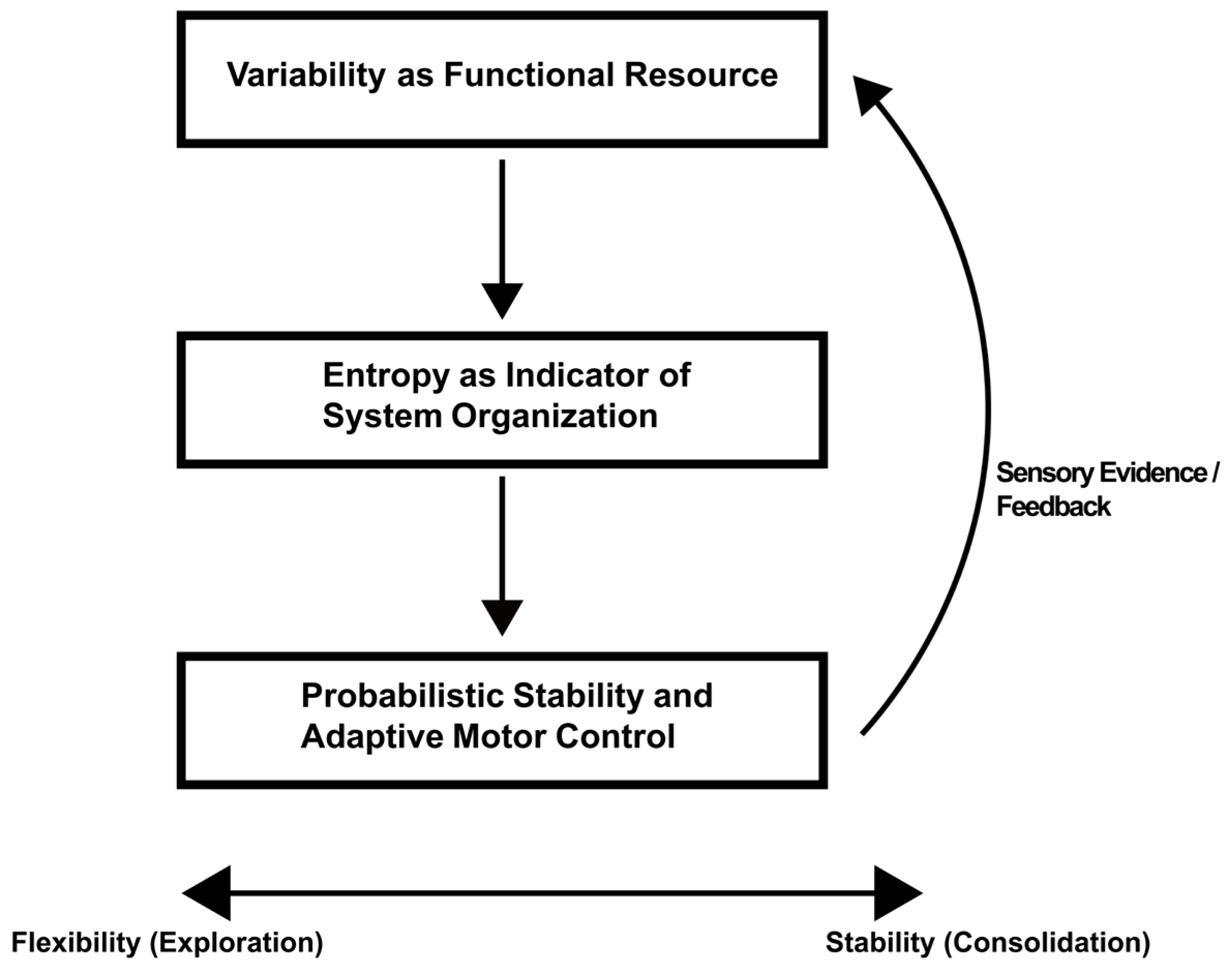 Toward a Probabilistic Framework of Human Motor Control: Integrating ...
