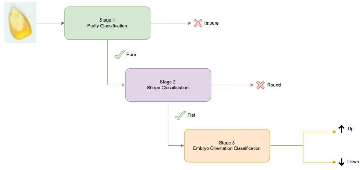 CornViT: A Multi-Stage Convolutional Vision Transformer Framework for ...