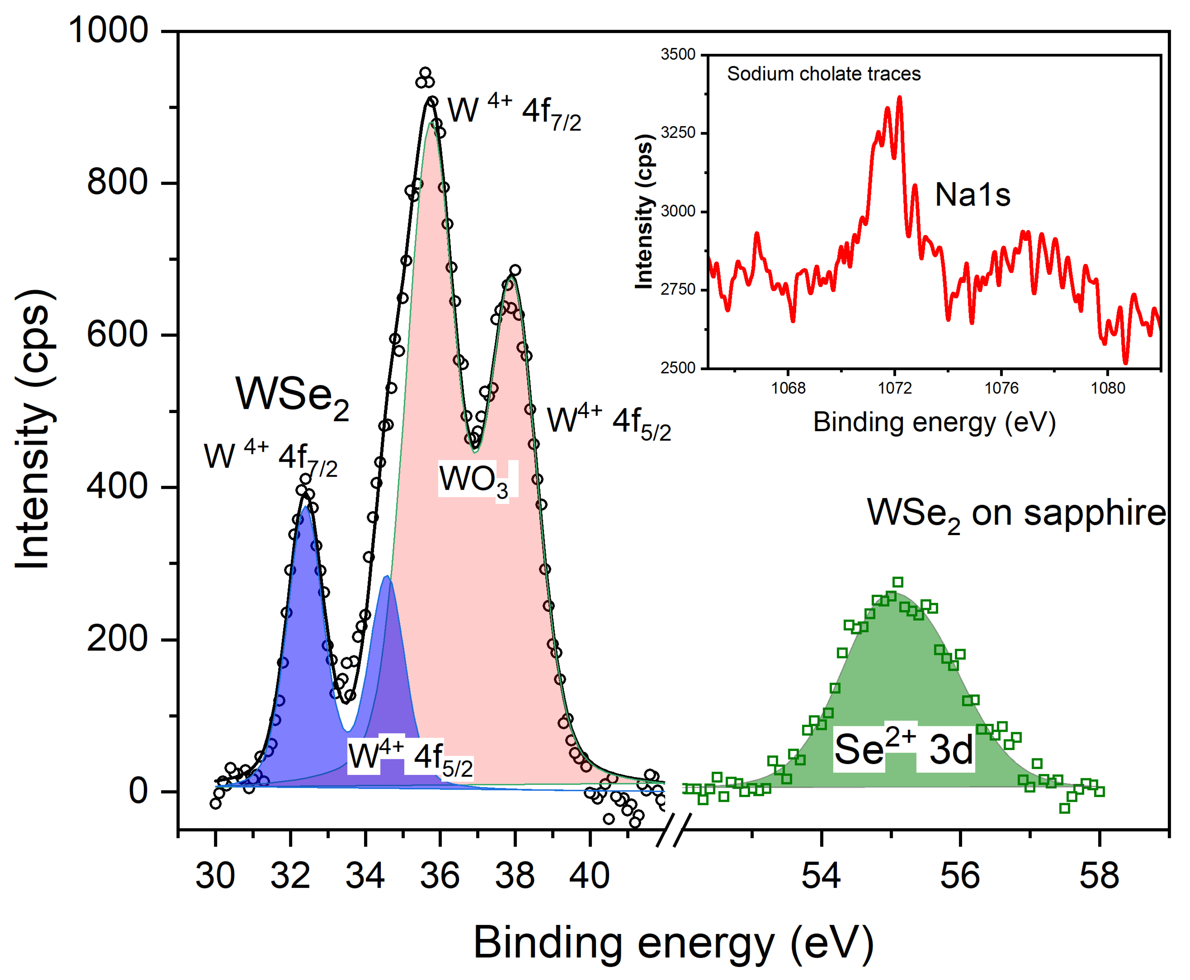 Liquid-Precursor-Mediated CVD Synthesis of WSe2