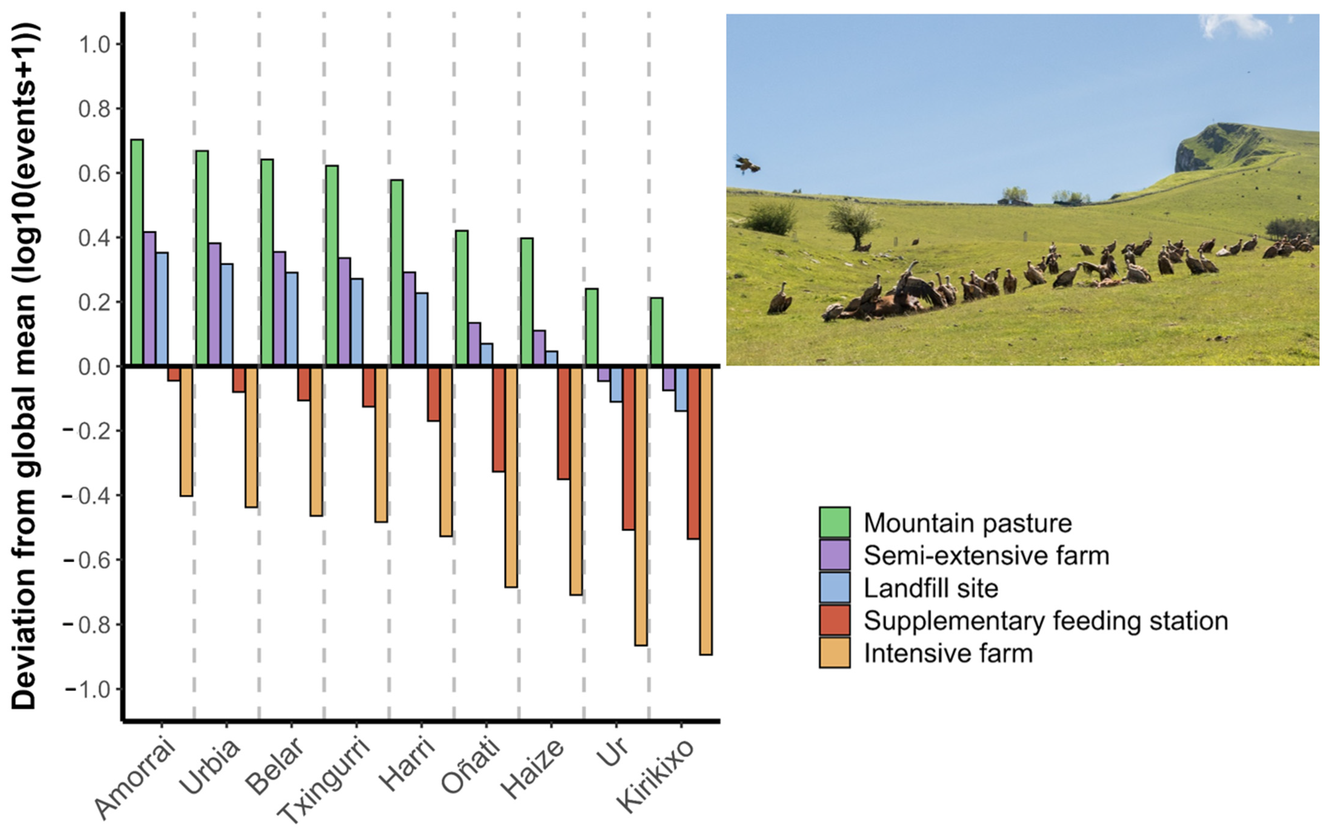 GPS and Accelerometer Data Reveal the Importance of Extensive Livestock ...