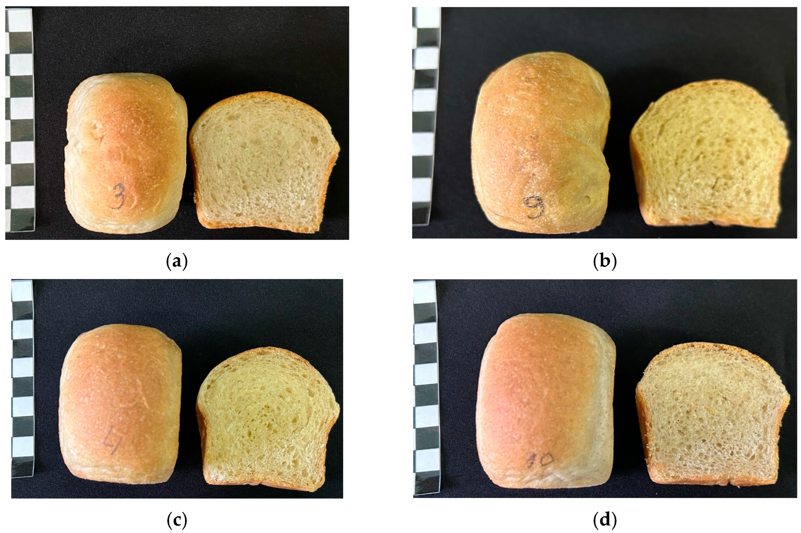 Morphological and Baking Properties of the Blue-Grained ×Trititrigia ...