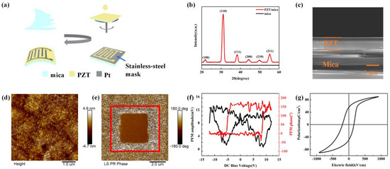 Flexible Mica-Based PZT Sensor for Real-Time Monitoring of the Airflow