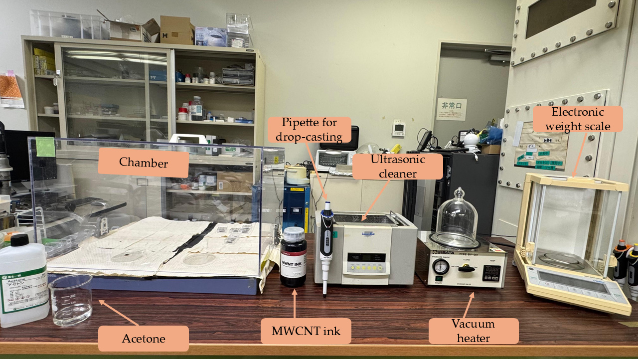 Synergistic Integration of Drop-Casting with Sonication and Thermal ...