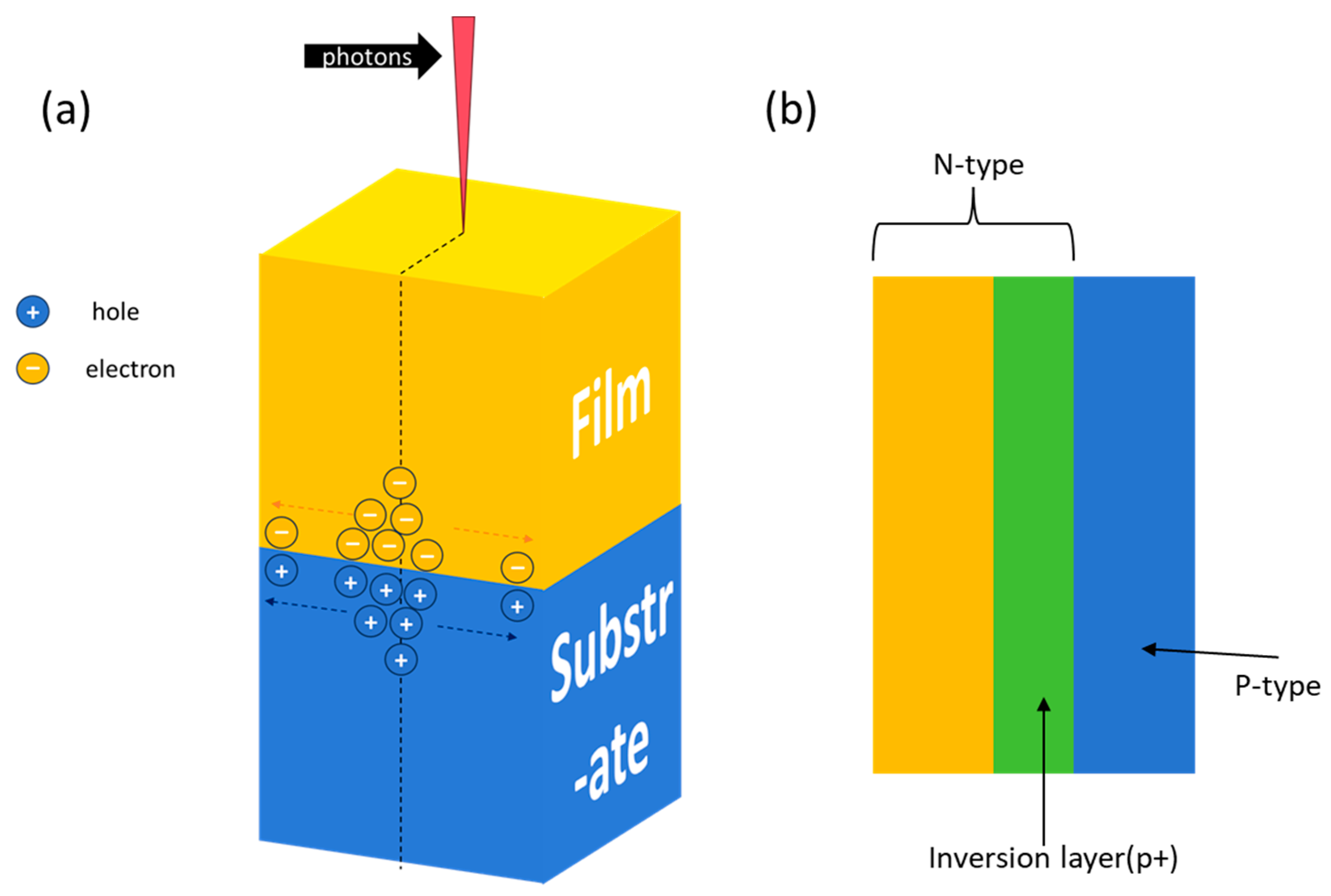 A Graphene–Molybdenum Disulfide Heterojunction Phototransistor