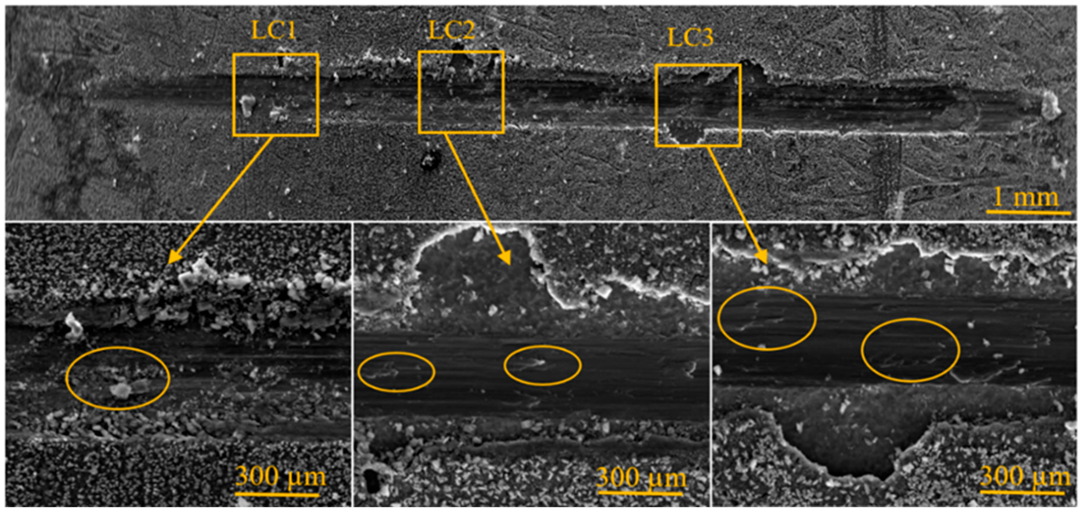 PbS-Decorated TiO2 Nanotubes via SILAR for Enhanced Wear and Corrosion ...