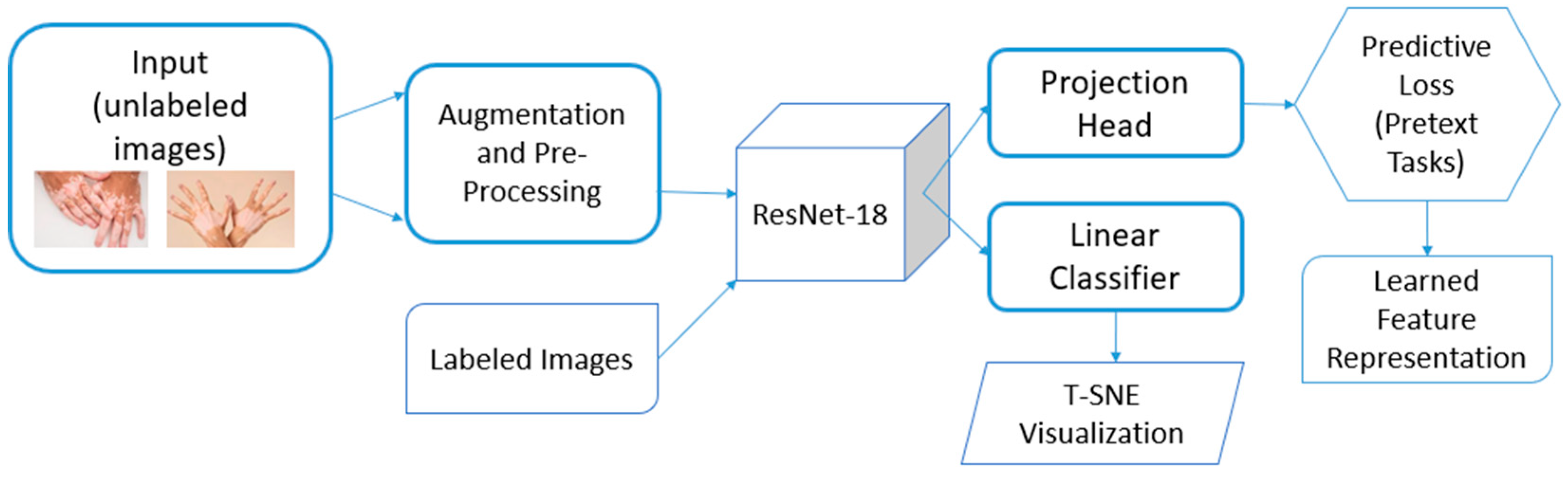 Self-Supervised Learning for Complex Pattern Interpretation in Vitiligo ...