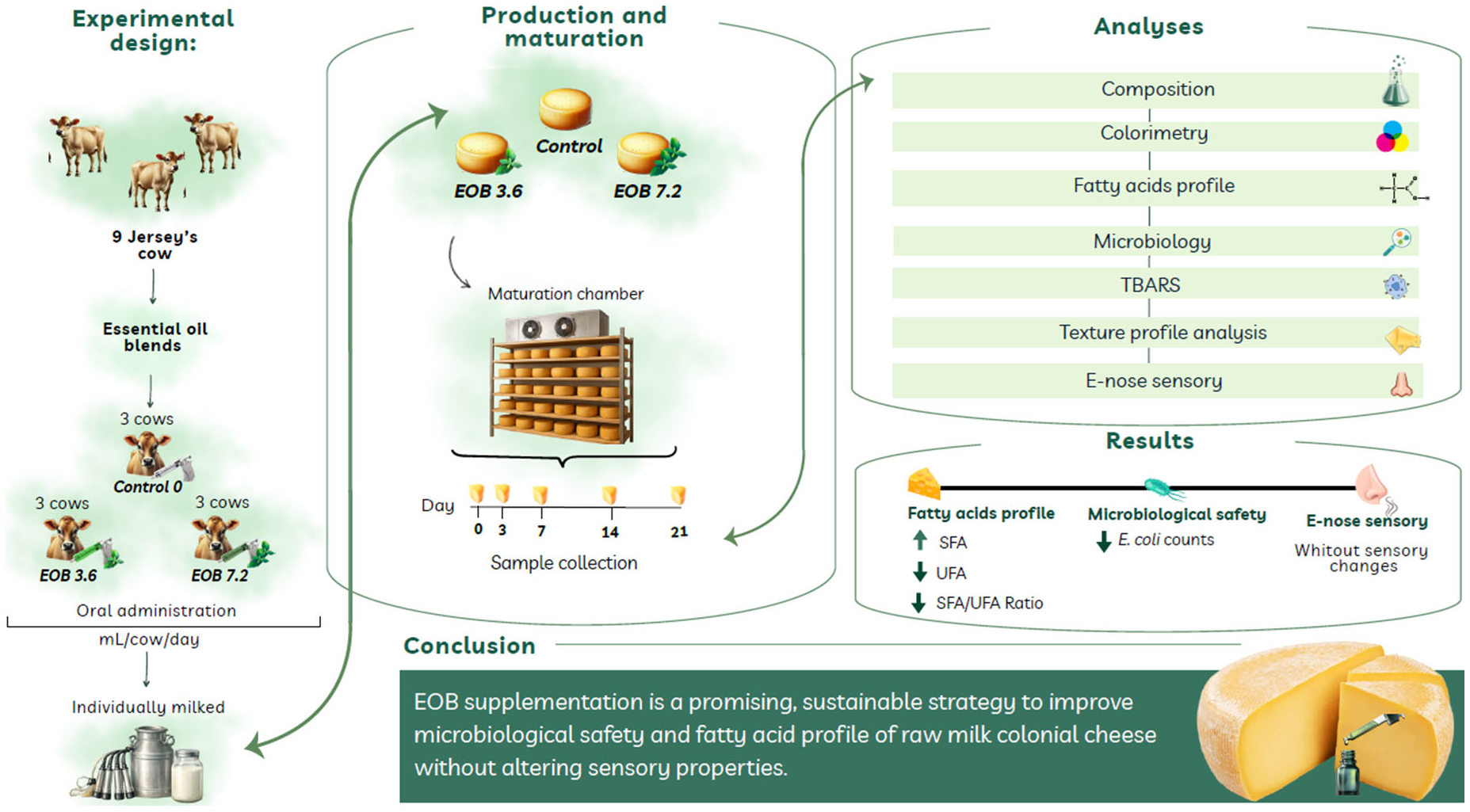 Physicochemical and Microbiological Characteristics of Artisanal ...