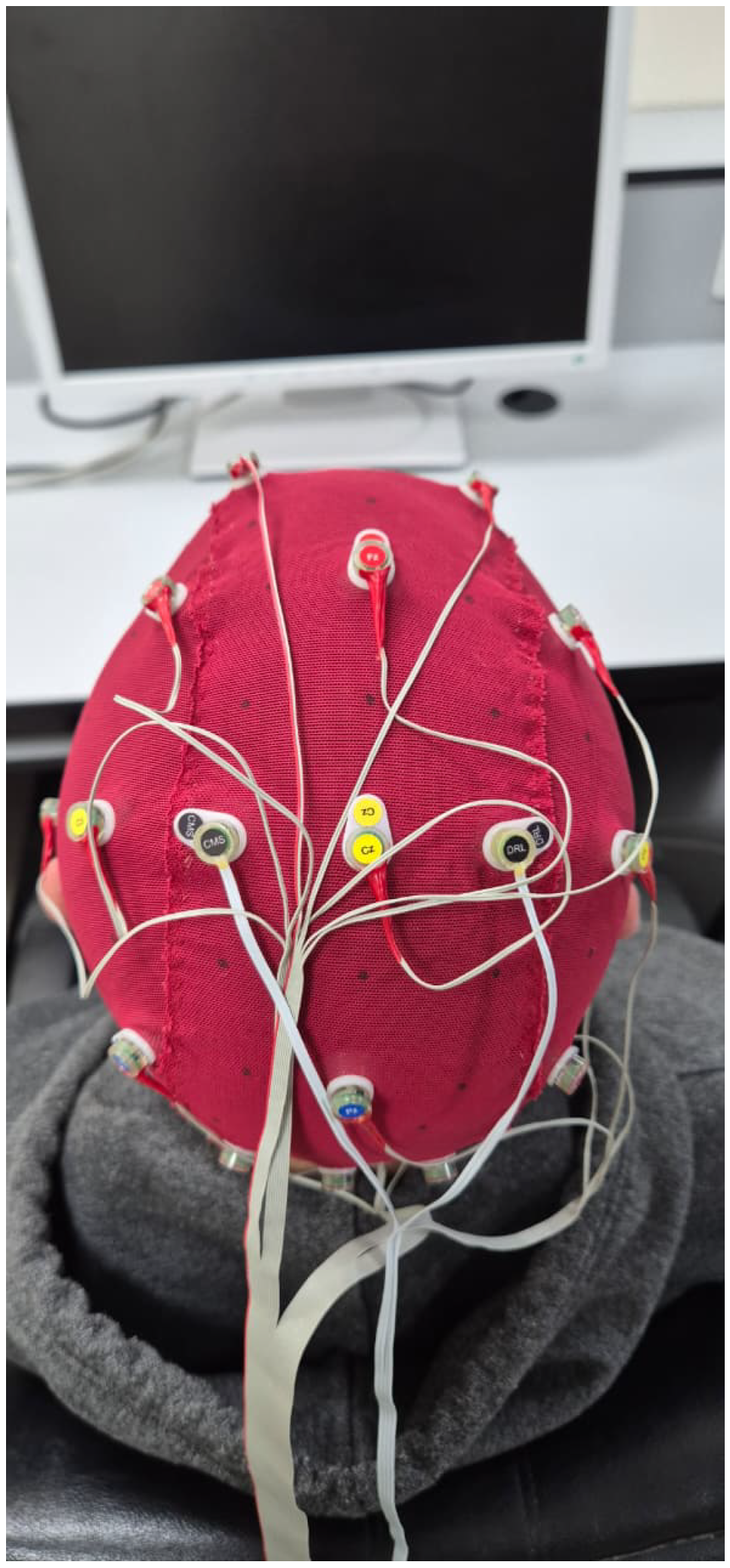 A Multi-Class EEG Dataset for Behavioral Roles in Deception: Honesty ...