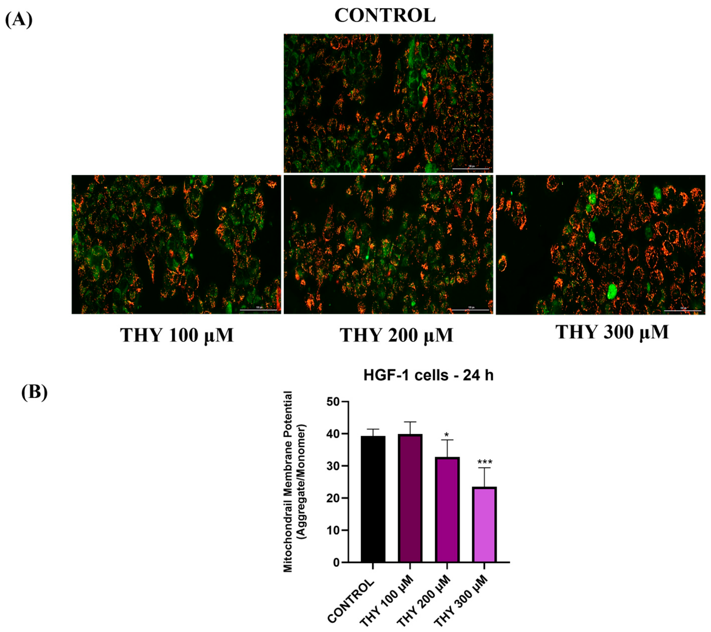 Exploring Thymol’s Cytocompatibility and Potential Selective ...