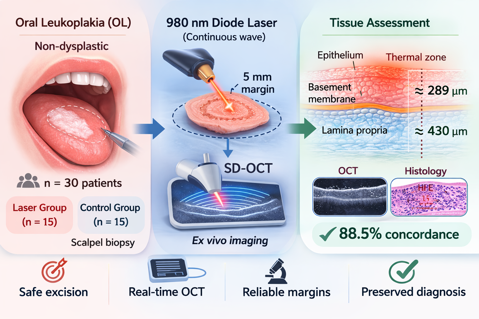 Optical Coherence Tomography (OCT) Evaluation of Thermal Tissue ...