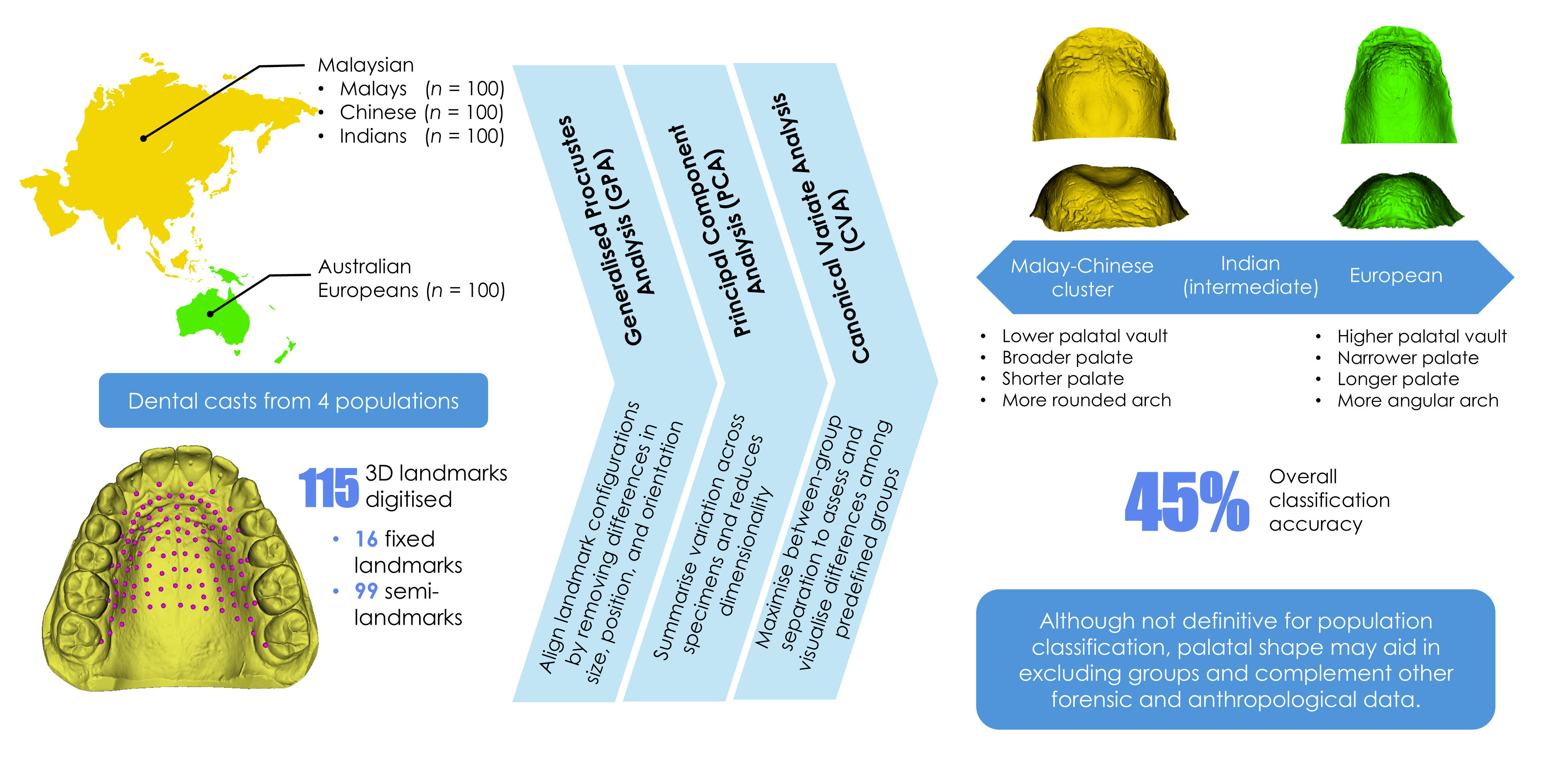 Three-Dimensional Variation of the Human Hard Palate Across Populations ...