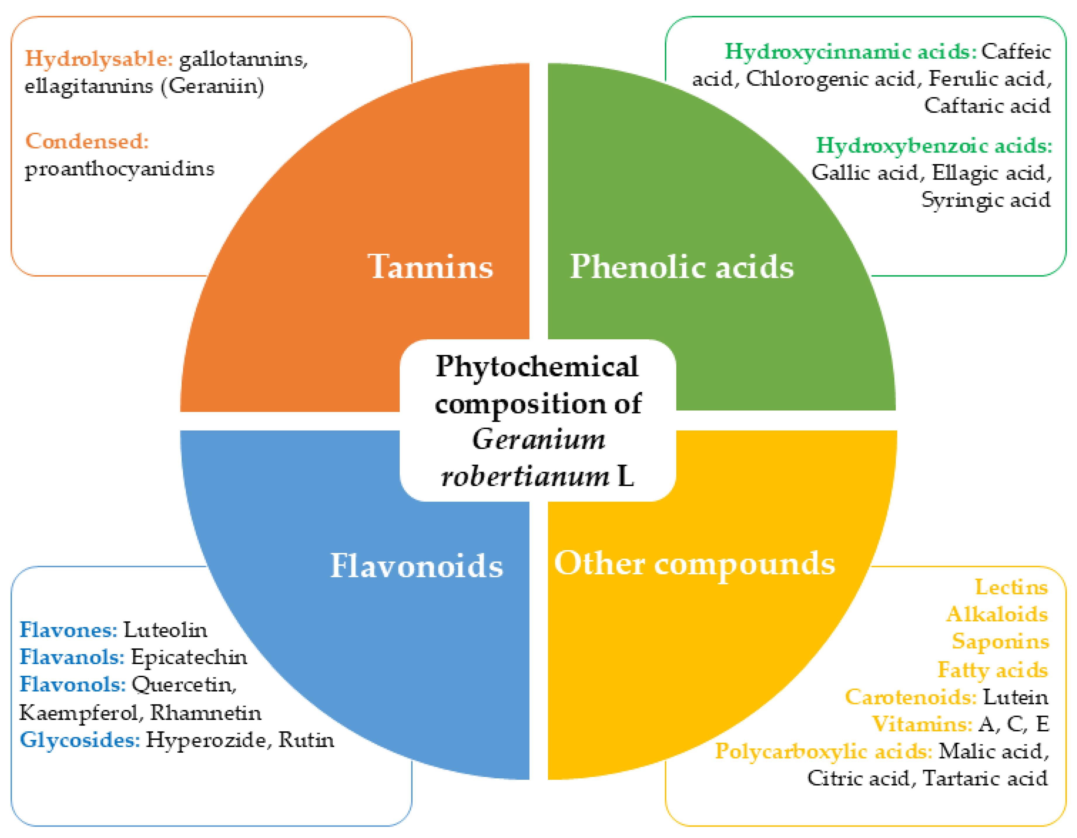 Geranium robertianum L. in Oral Health: From Phytochemical Profile to ...