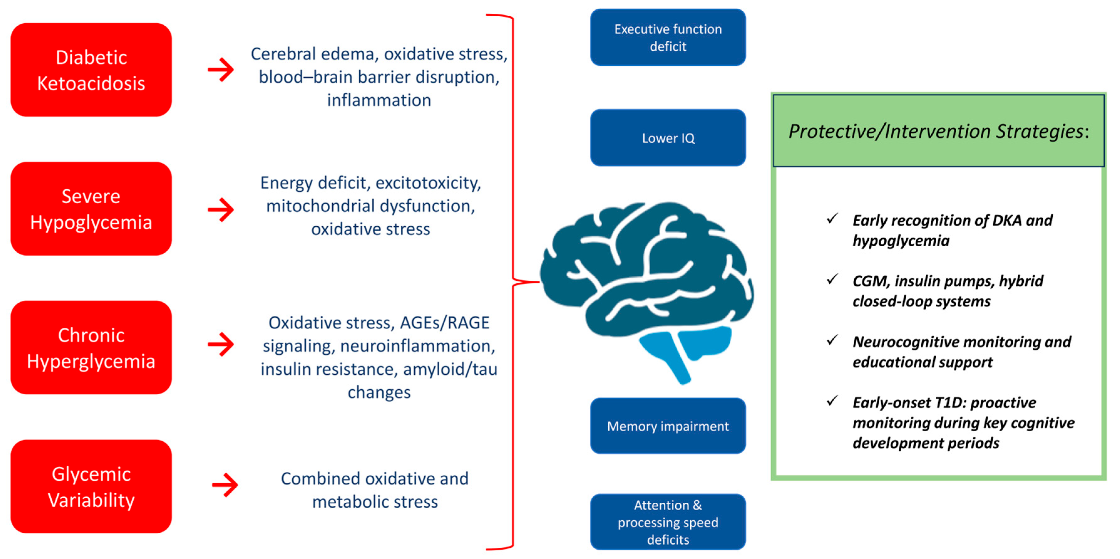 Cognitive Function in Children with Type 1 Diabetes: A Narrative Review