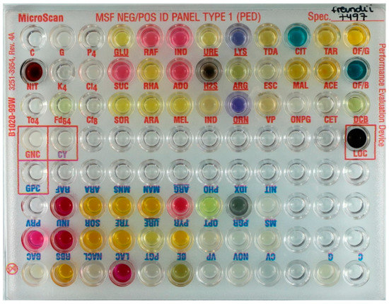 Evaluation of MicroScan Bacterial Identification Panels for Low ...
