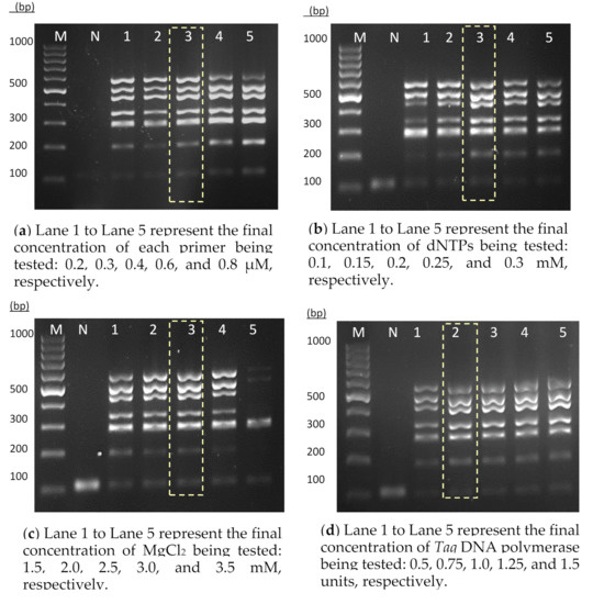 Thermostable Heptaplex PCR Assay for the Detection of Six Respiratory ...