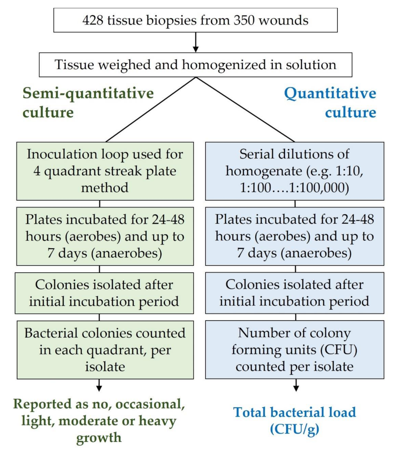 Diagnostics Free Full Text Are Semi Quantitative Clinical Cultures Diagnostics Free Full Text Are Semi Quantitative Clinical Cultures