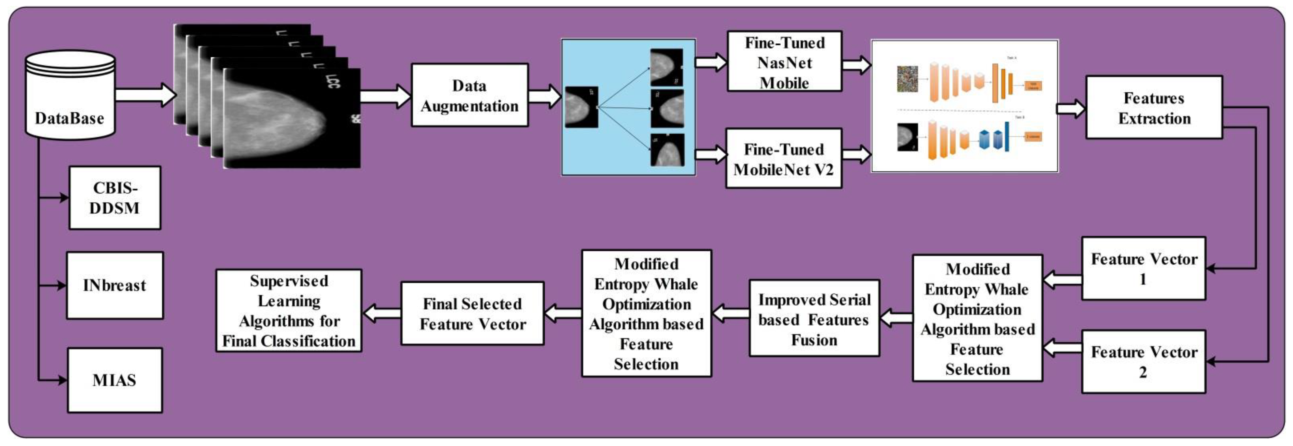 Diagnostics Free Full Text Breast Cancer Mammograms Classification Diagnostics Free Full Text Breast Cancer Mammograms Classification