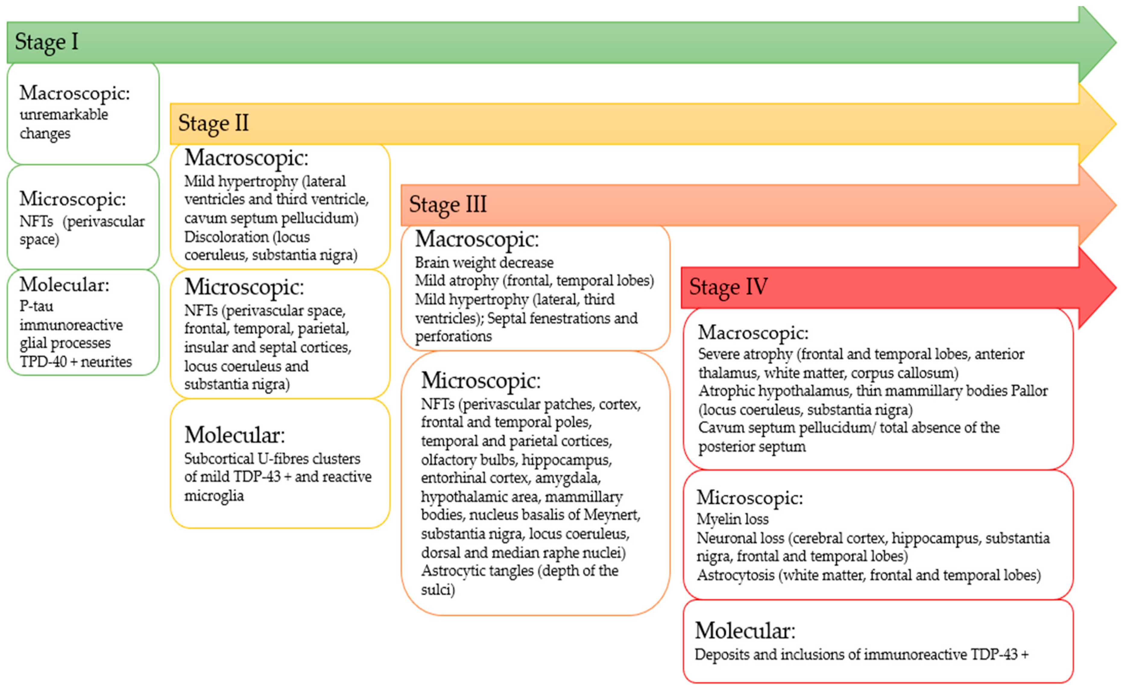 Chronic Traumatic Encephalopathy Stages Chronic Traumatic Encephalopathy Stages