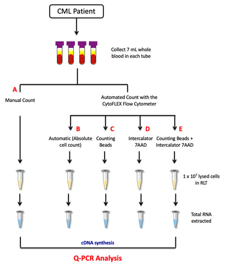 Impact of Different Cell Counting Methods in Molecular Monitoring of ...