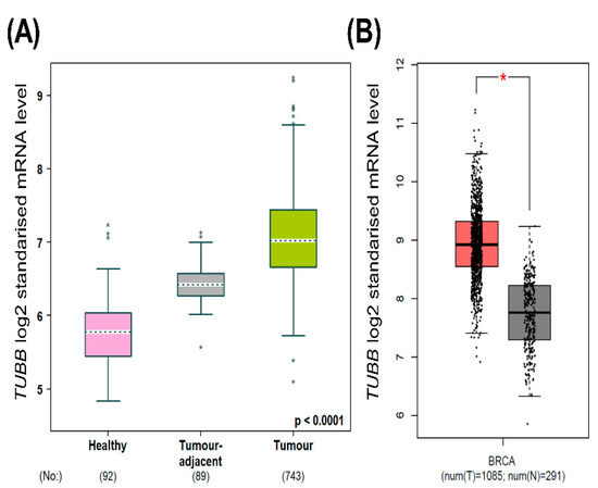 Diagnostics | Free Full-Text | Bioinformatics Identification of TUBB as ...