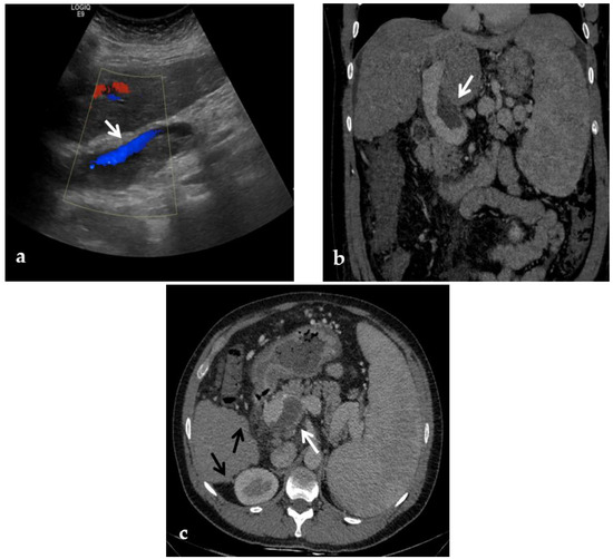 Diagnostics | Special Issue : Advances in Image-Guided Diagnosis and ...