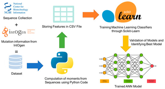 Diagnostics | Free Full-Text | RCCC_Pred: A Novel Method for Sequence ...