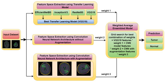 Weighted Average Ensemble Deep Learning Model for Stratification of ...