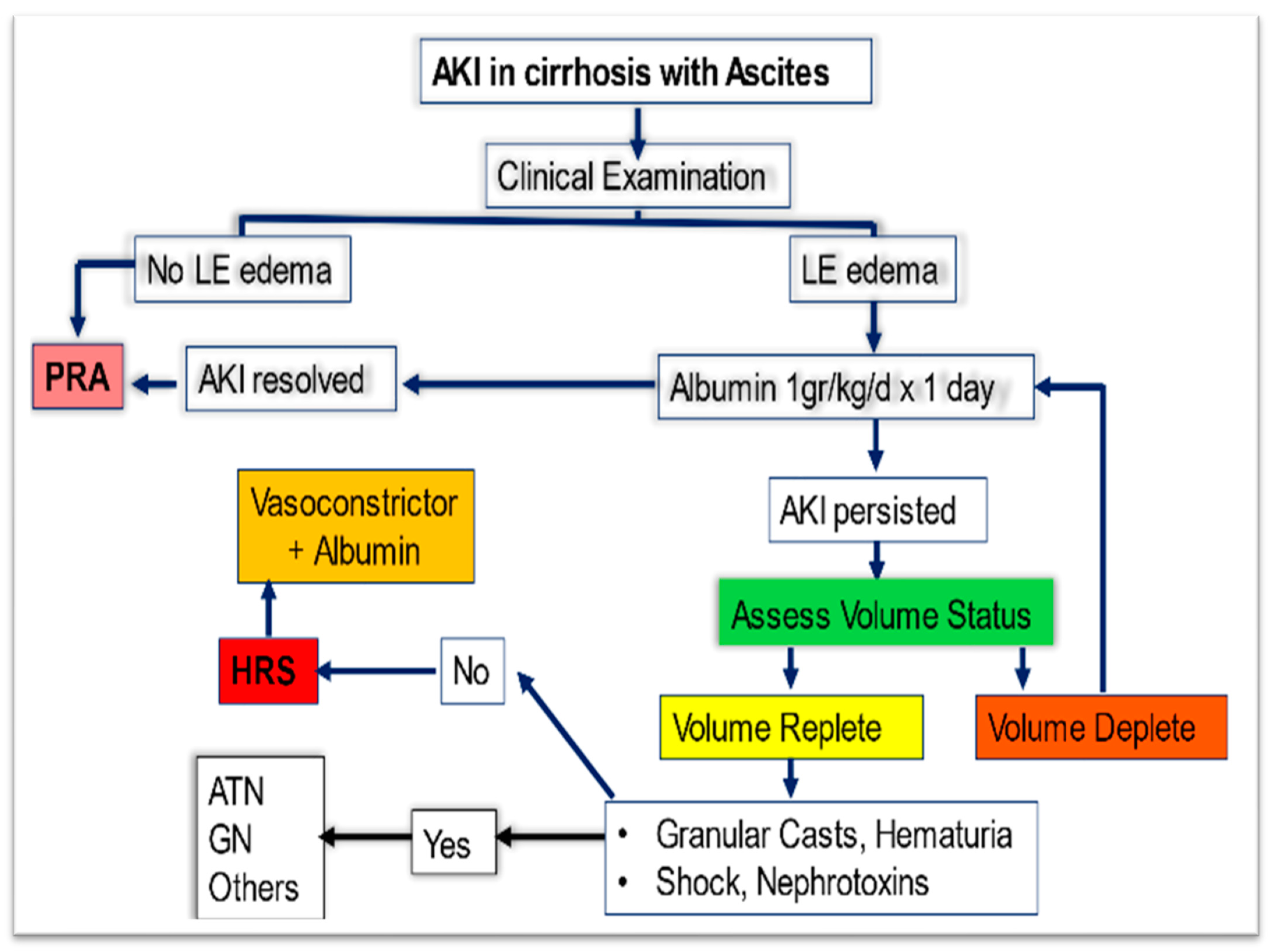 Diagnostics Free Full Text Acute Kidney Injury In Liver Cirrhosis Diagnostics Free Full Text Acute Kidney Injury In Liver Cirrhosis