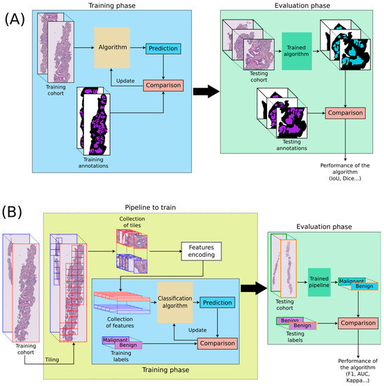 Deep Learning Methodologies Applied to Digital Pathology in Prostate ...