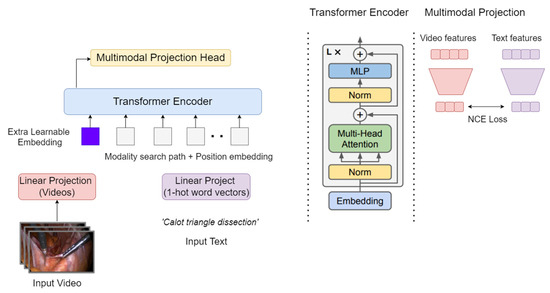 Diagnostics | Free Full-Text | A Multimodal Transformer Model for ...