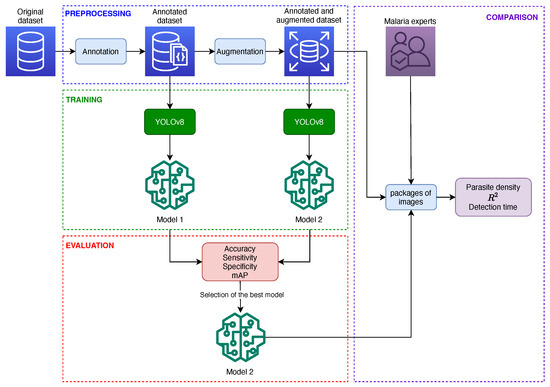 Supporting Malaria Diagnosis Using Deep Learning and Data Augmentation