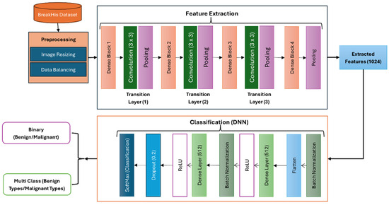 Enhanced Multi-Class Breast Cancer Classification from Whole-Slide ...