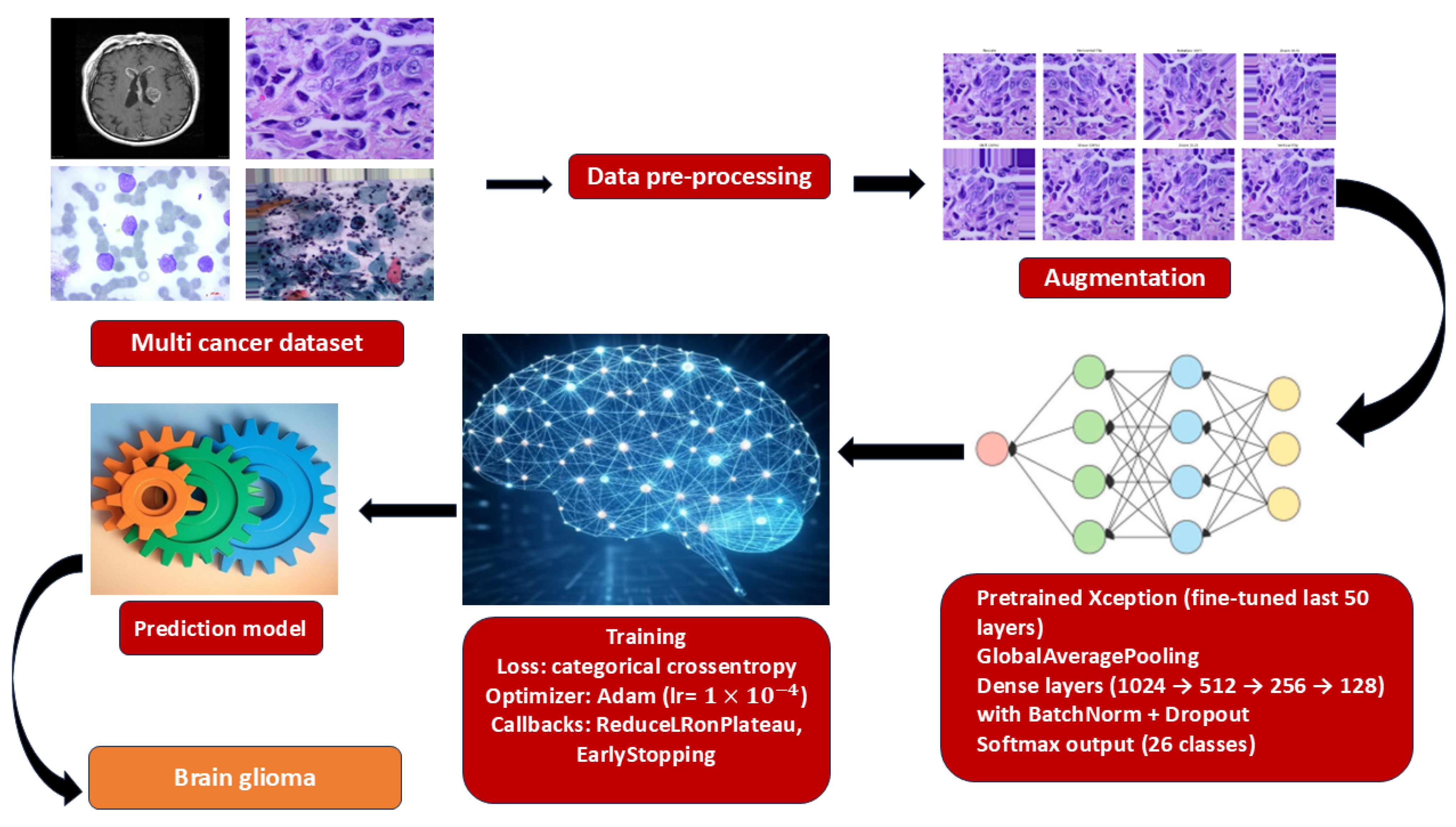 Browser-Based Multi-Cancer Classification Framework Using Depthwise ...