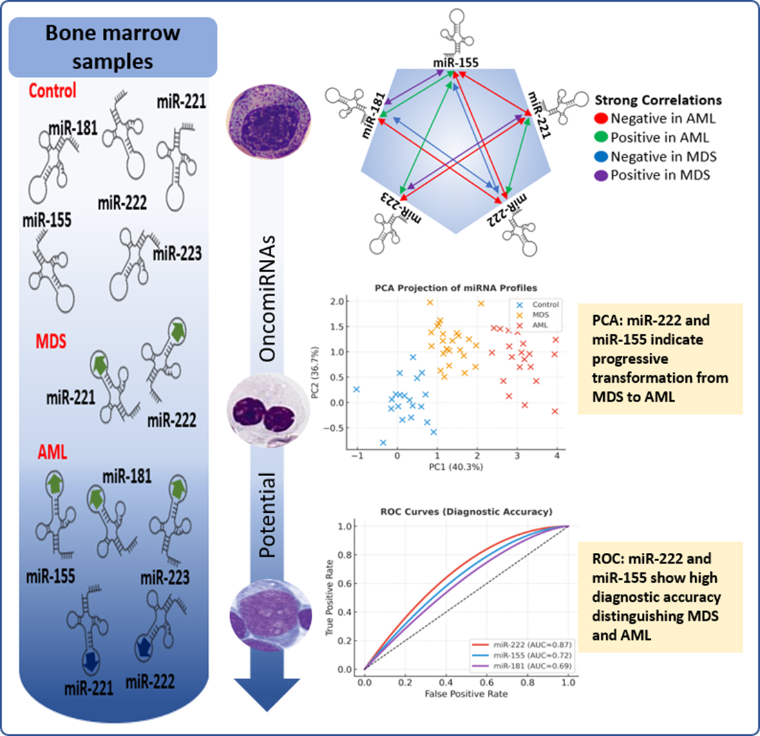 Diagnostic and Prognostic Significance of miR-155, miR-181, miR-221 ...