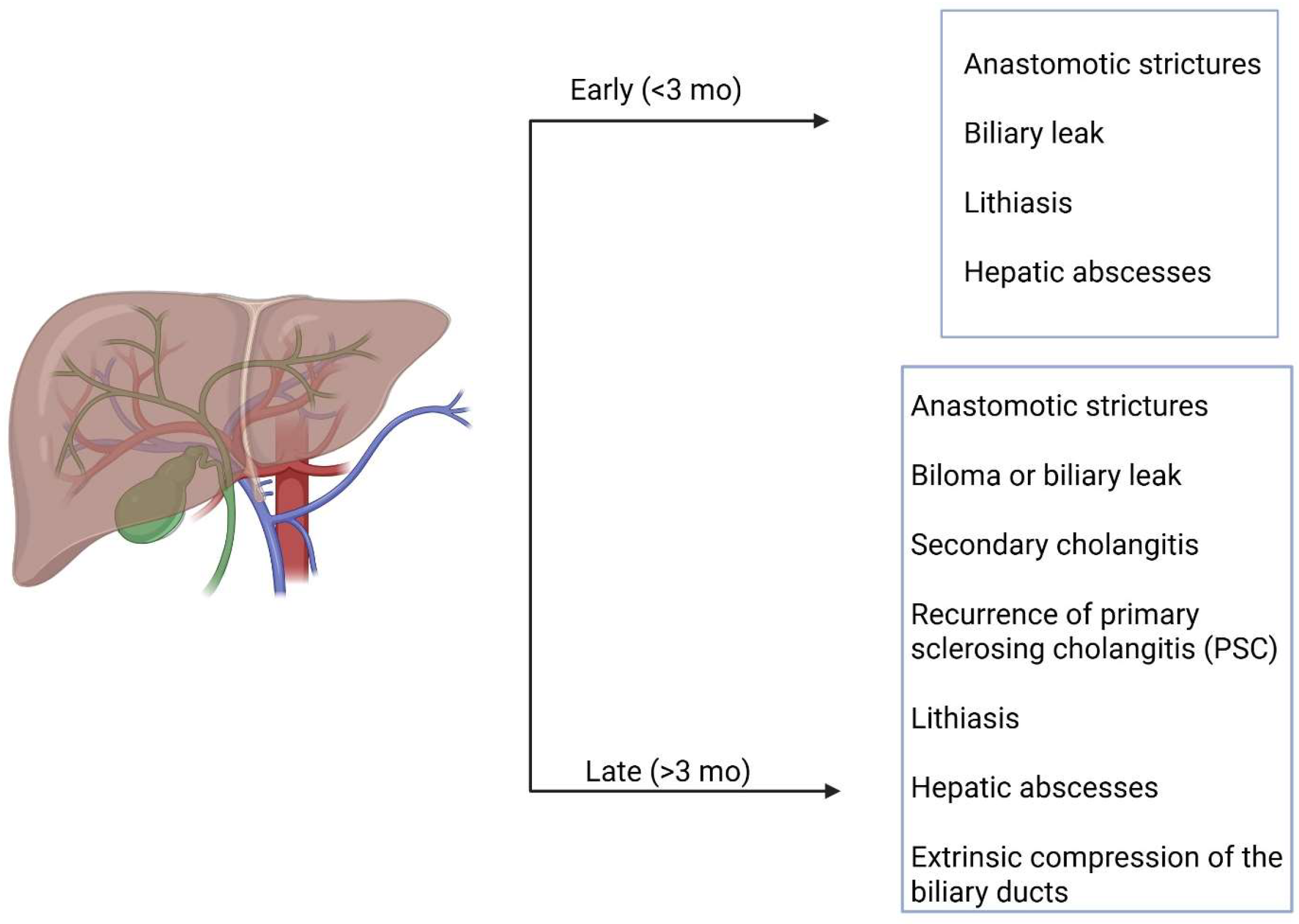 All About Multiparametric MRI Evaluation in Biliary Tree Complications ...