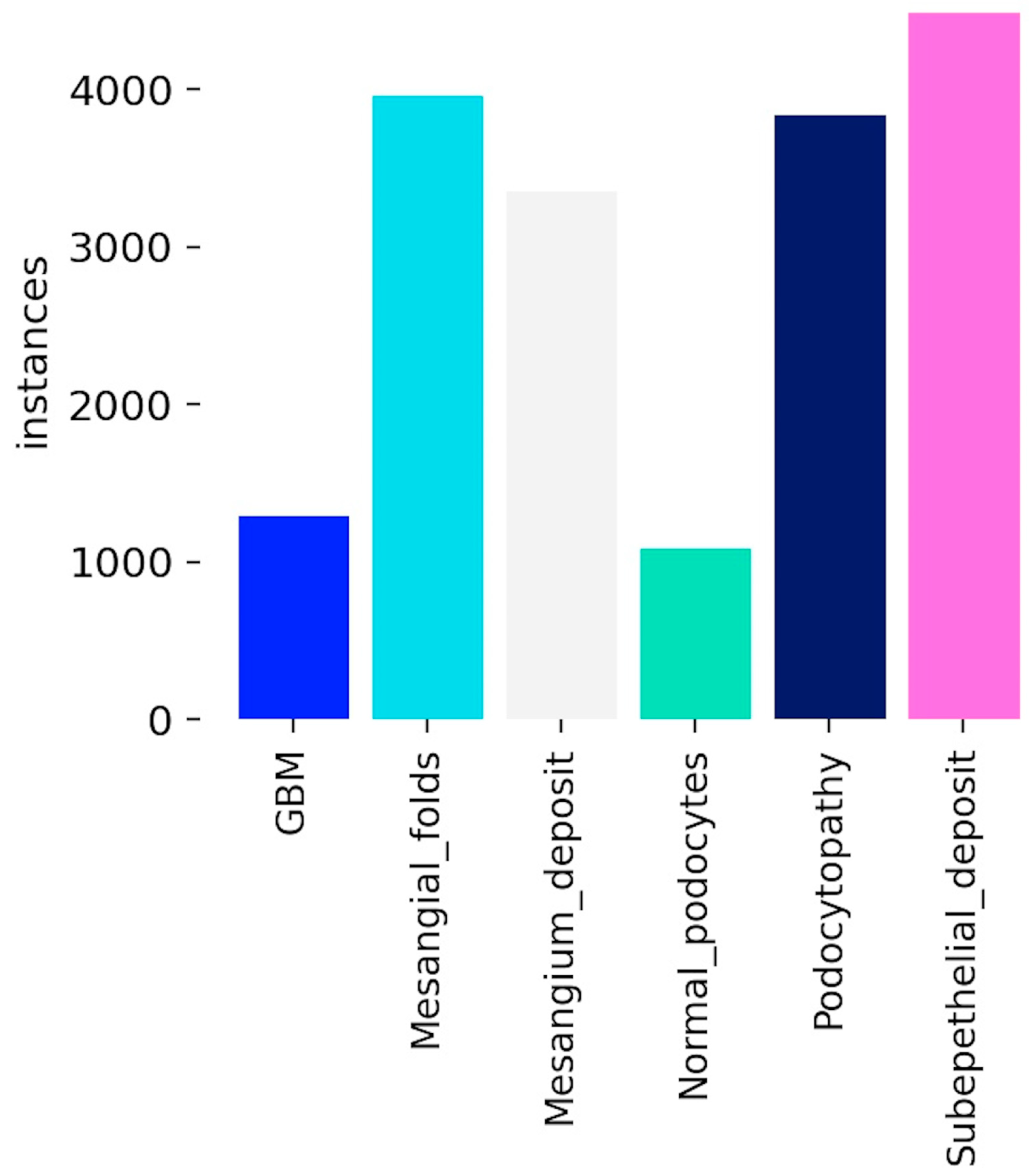 Renal-AI: A Deep Learning Platform for Multi-Scale Detection of Renal ...