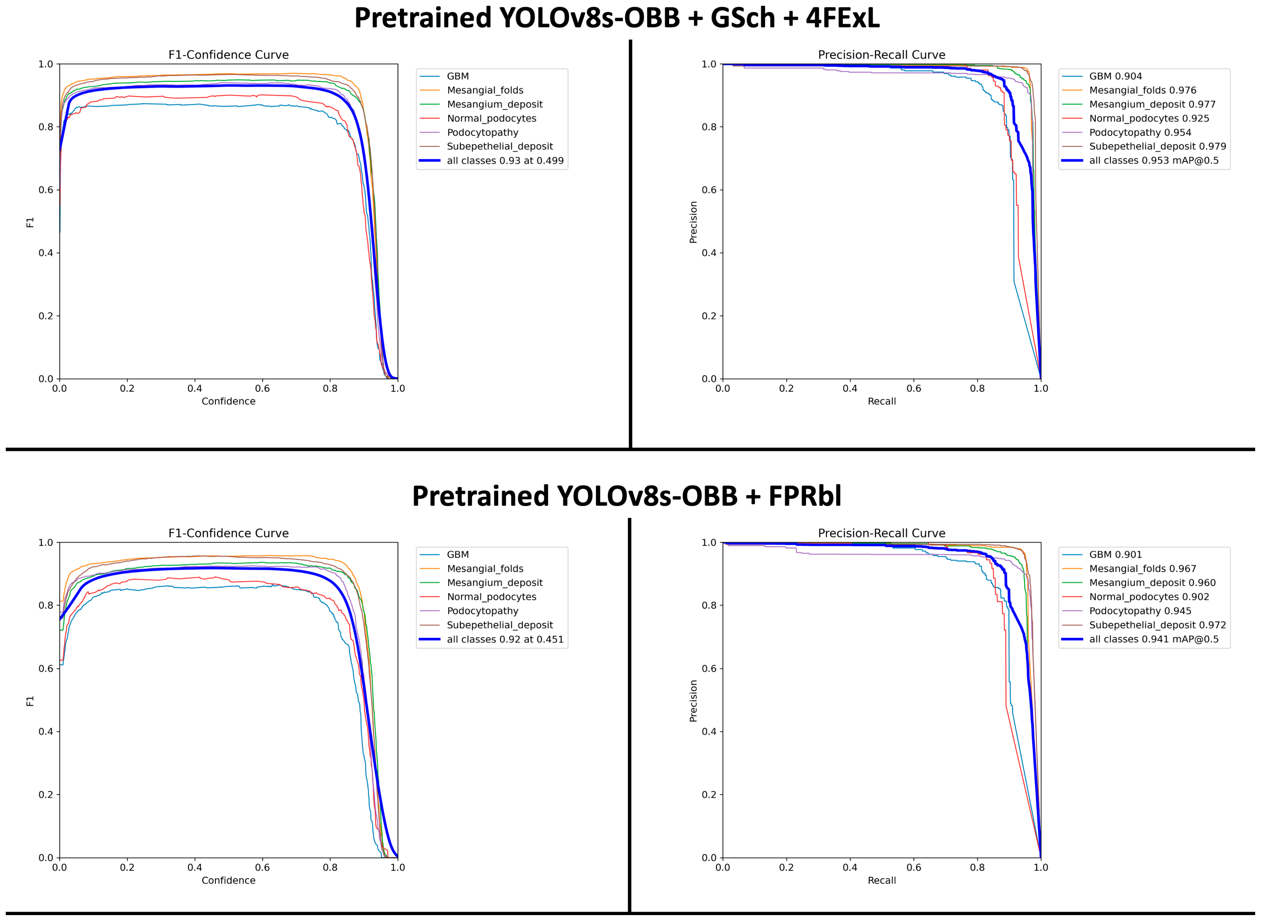 Renal-AI: A Deep Learning Platform for Multi-Scale Detection of Renal ...
