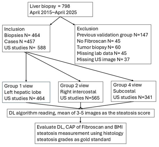 Clinical Validation of a Deep Learning-Based 2D Ultrasound Steatosis ...