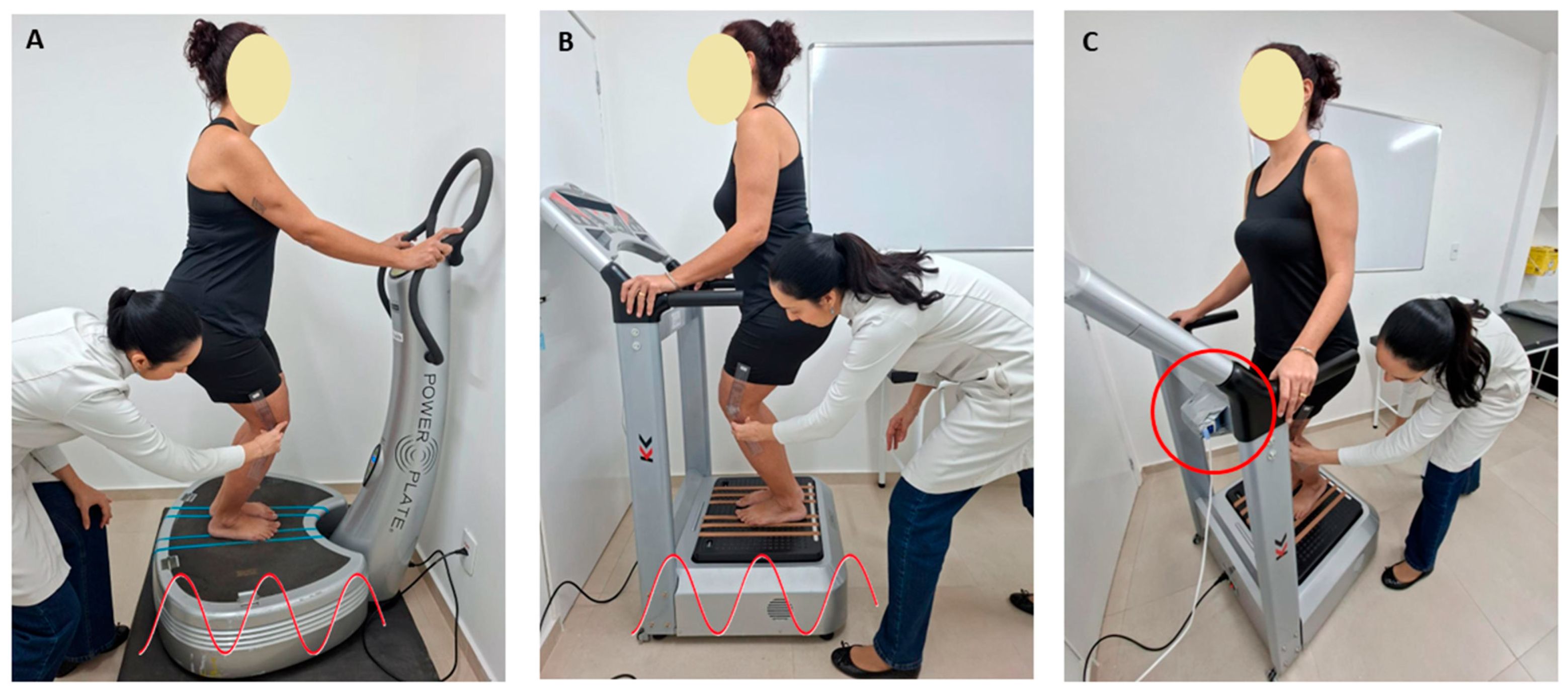 Immediate Effect of Whole-Body Vibration Exercise Performed in Vertical ...