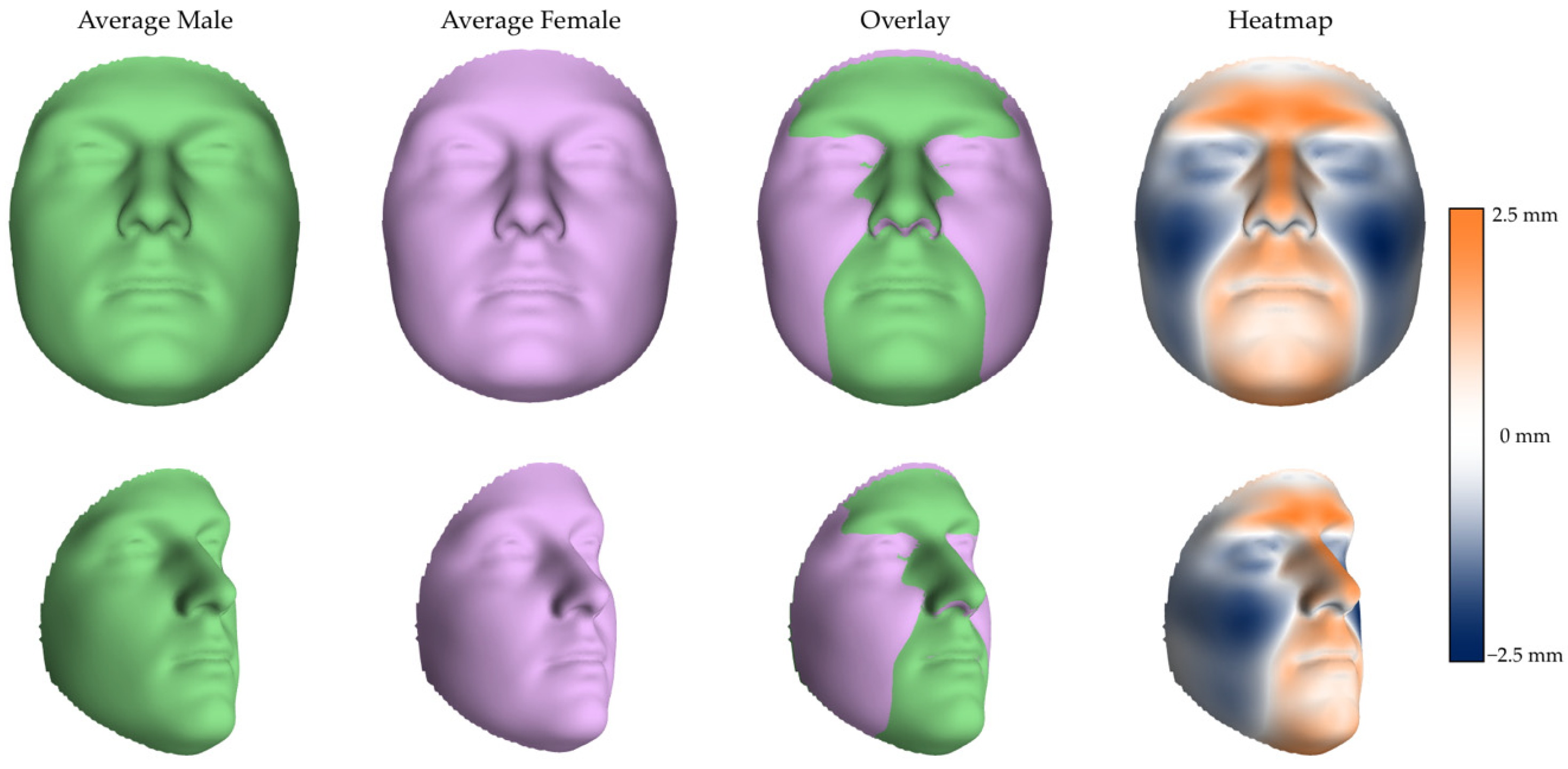 How Sex Shapes Facial Morphology in Adults: A 3D Geometric Morphometric ...