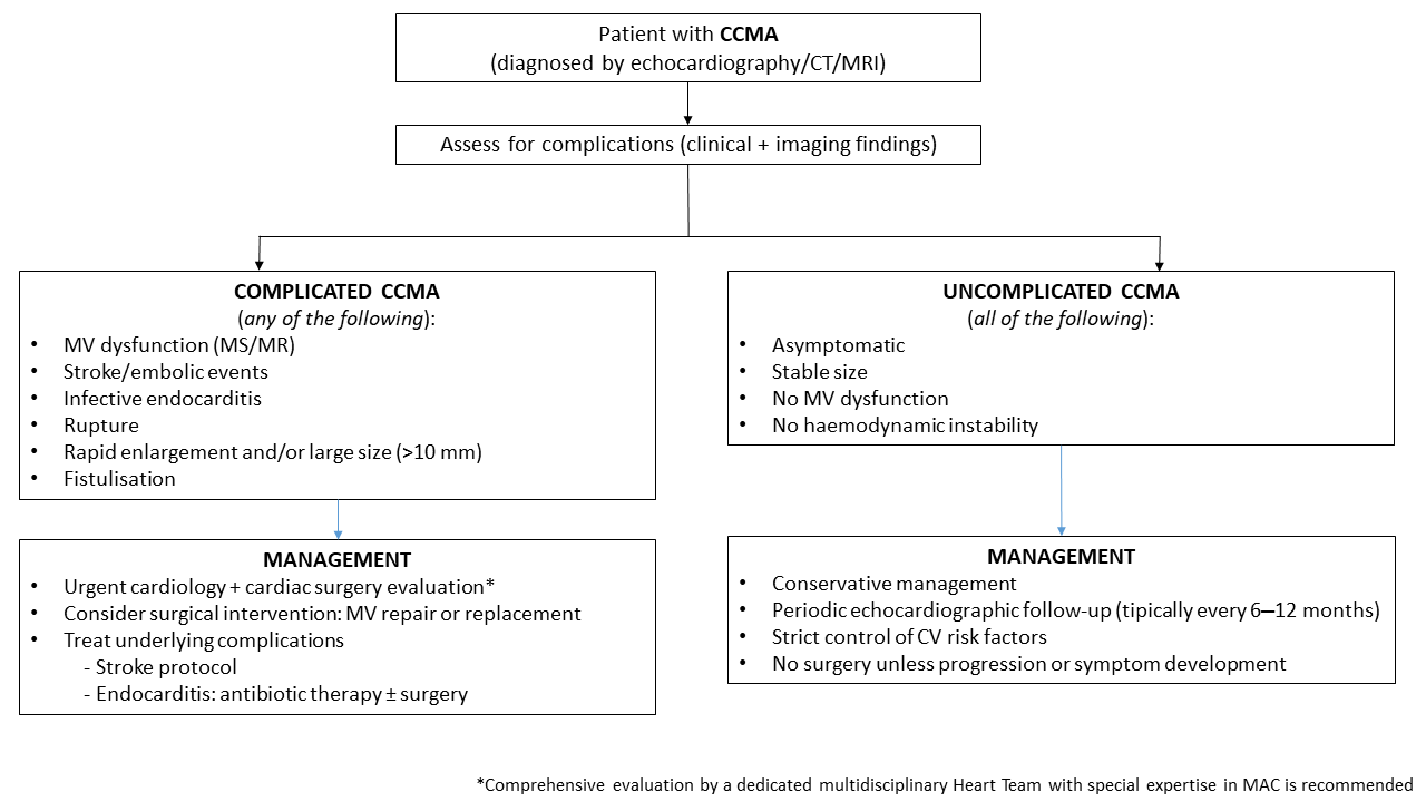 Rupture of Caseous Calcification of the Mitral Annulus: Pathophysiology ...