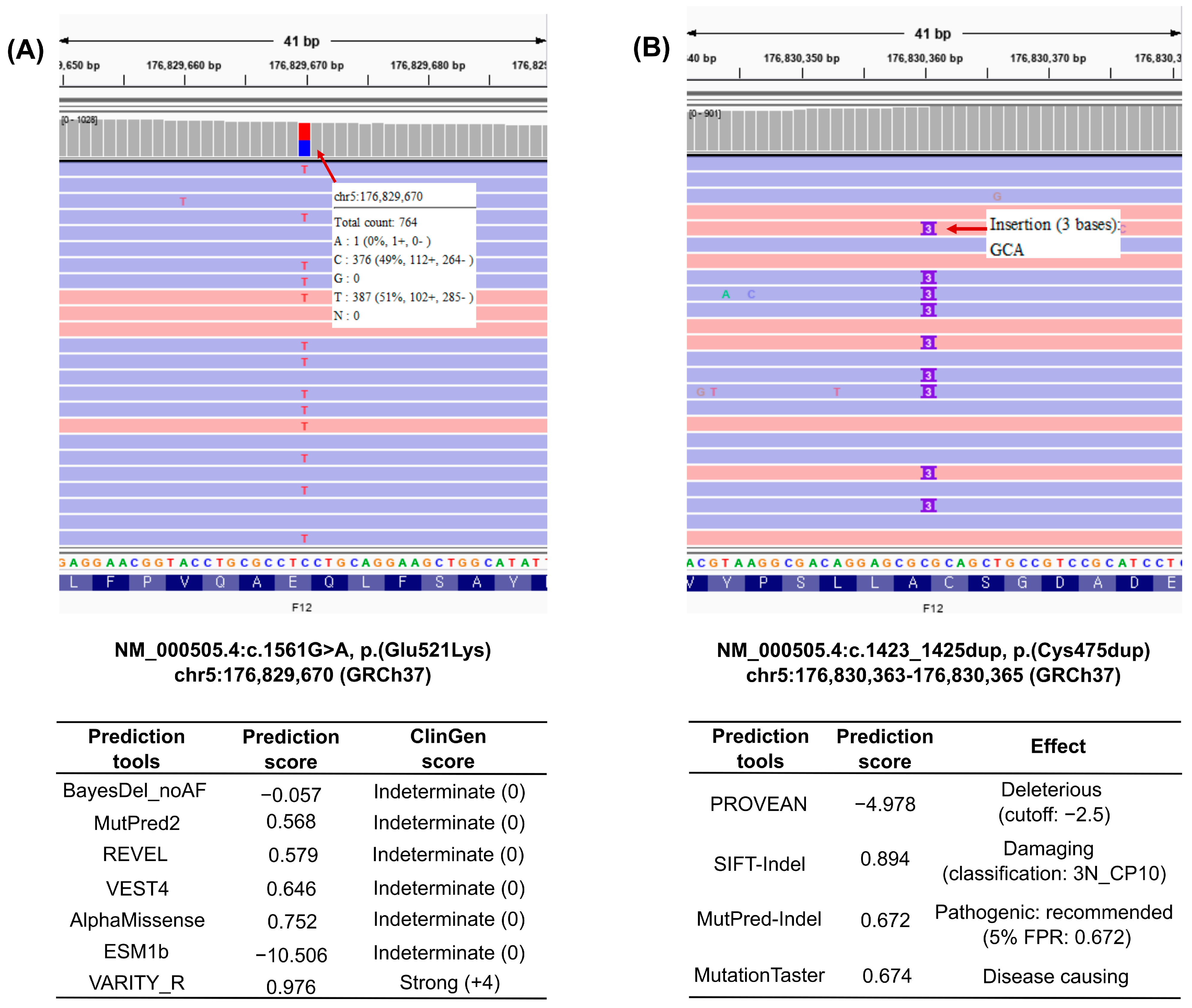 ClinGen Bayesian-Framework-Guided Interpretation of Compound ...